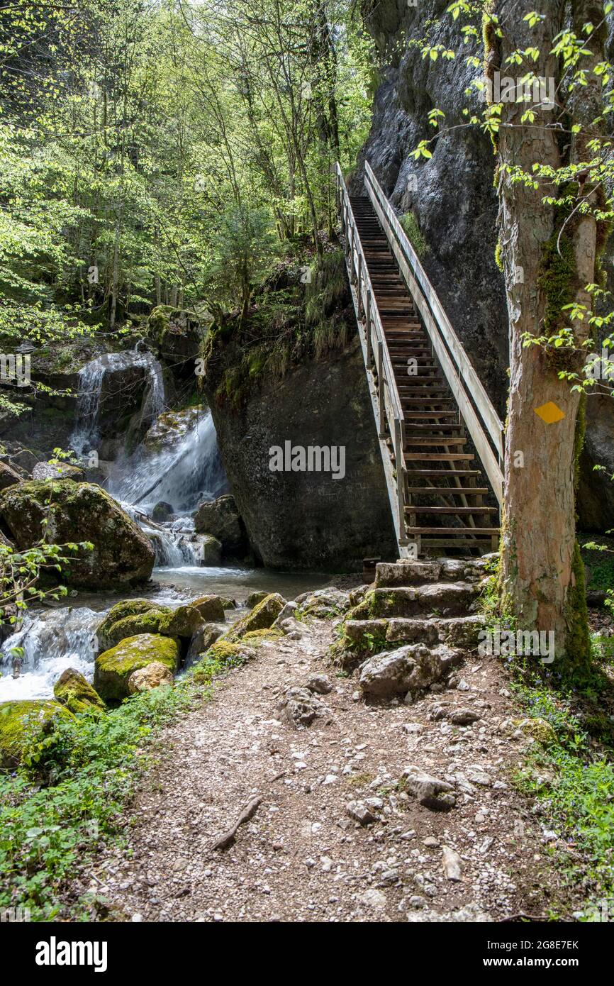Waterfall Under Stairs
