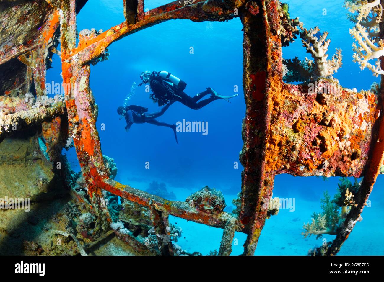 Two divers looking at shipwreck sailing ship, Red Sea, Abu Galawa, Fury ...