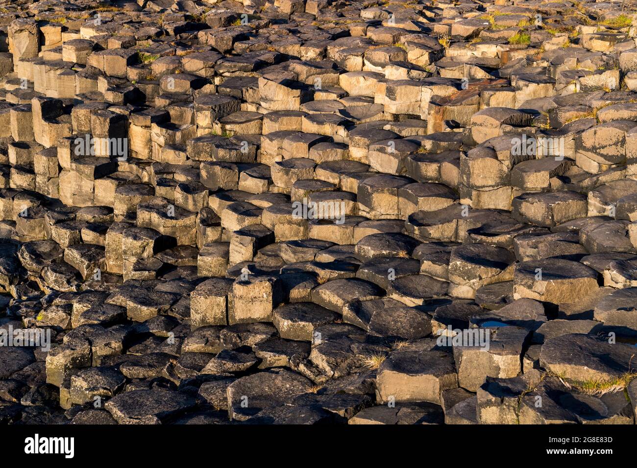 Basalt formations, Kalfshamarsvik, Skagi Peninsula, Iceland Stock Photo ...