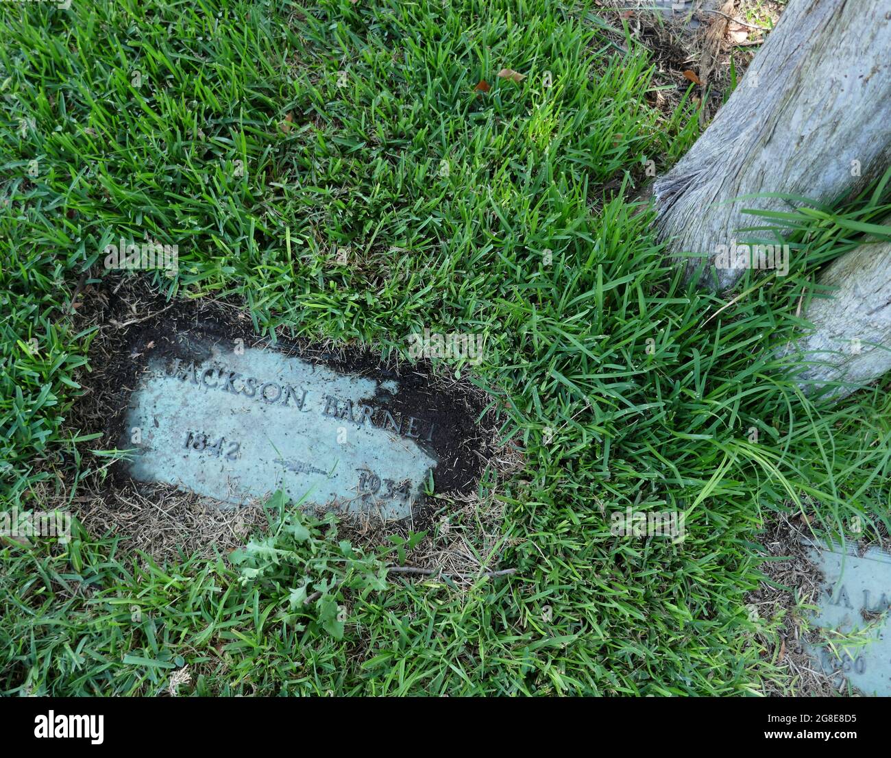 Los Angeles, California, USA 17th July 2021 A general view of ...