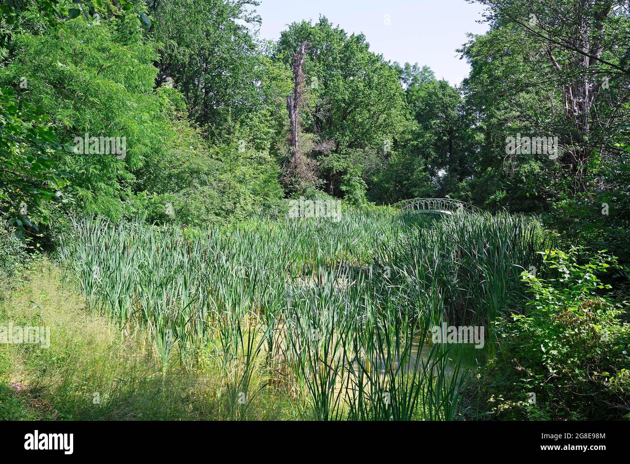 Typical landscape designed by Peter Josef Lenne, Pfaueninsel, Berlin ...