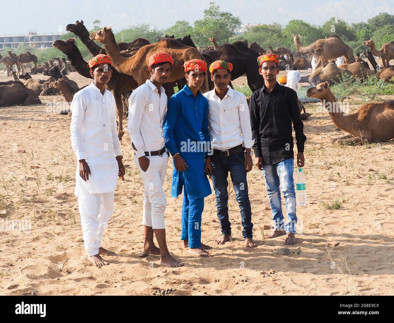 A group of young men at the camel market of Pushkar, Rajasthan, India ...