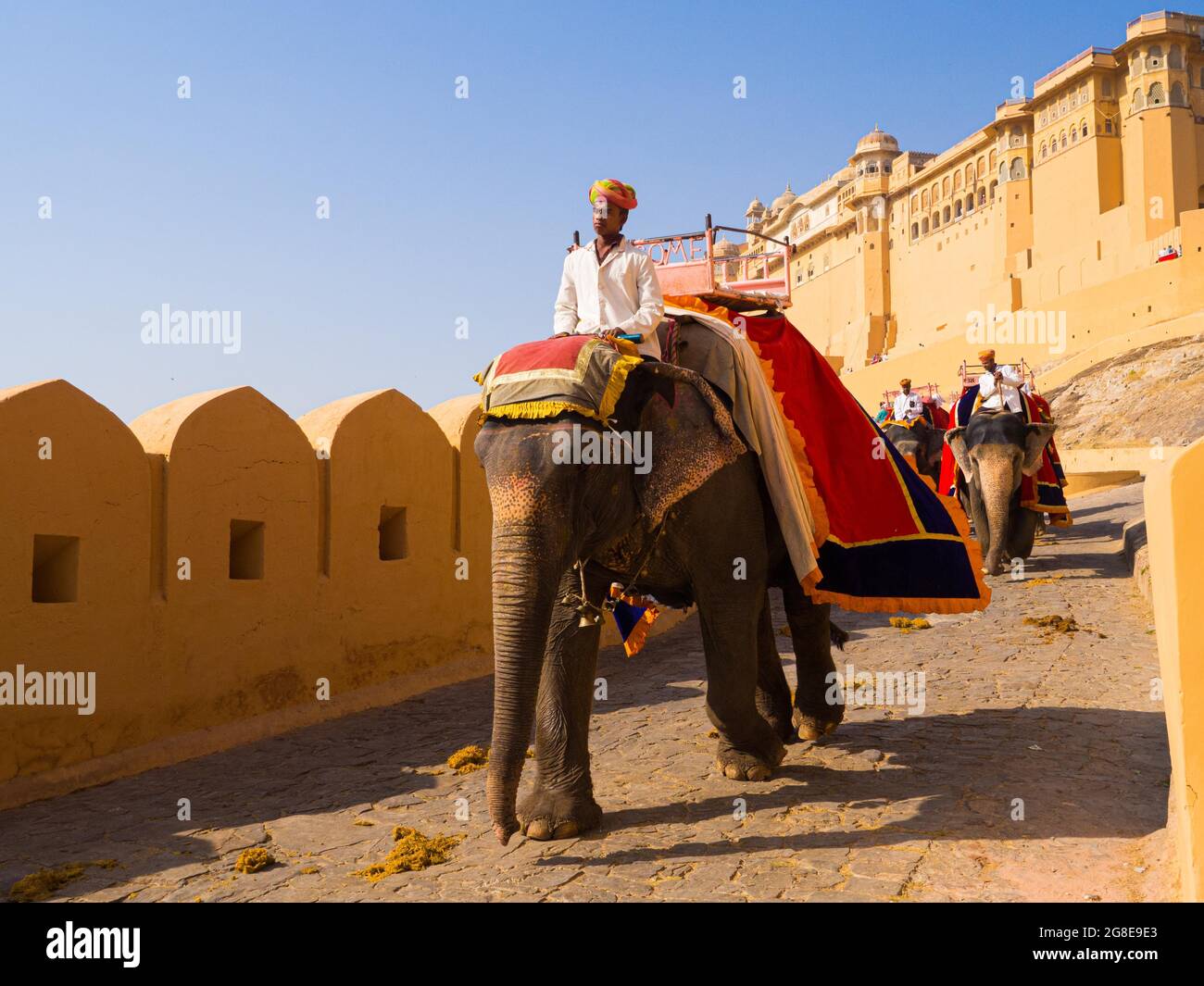 Elephants for tourist transport, Amber Fort, Jaipur, Rajasthan, India ...