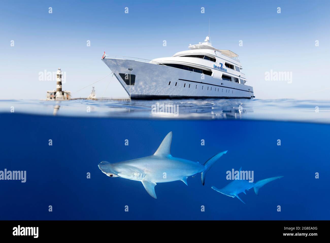 Liveaboard ms seven seas hi-res stock photography and images - Alamy