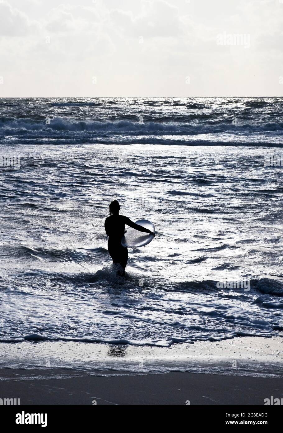 Surf rider goes with her surfboard into the North Sea, west coast ...