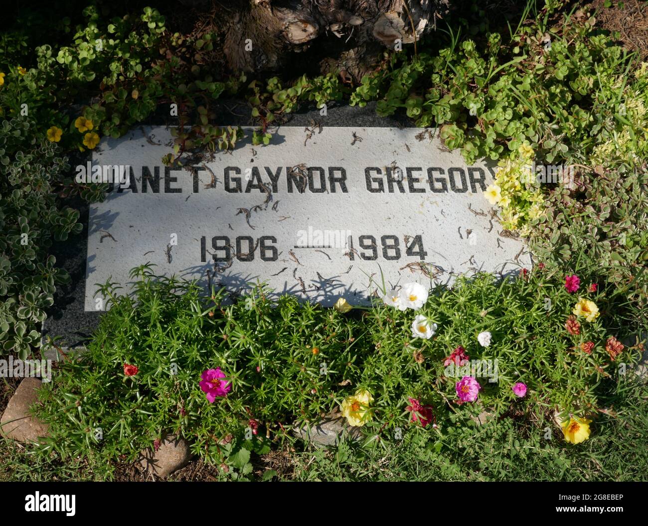 Los Angeles, California, USA 17th July 2021 A general view of ...