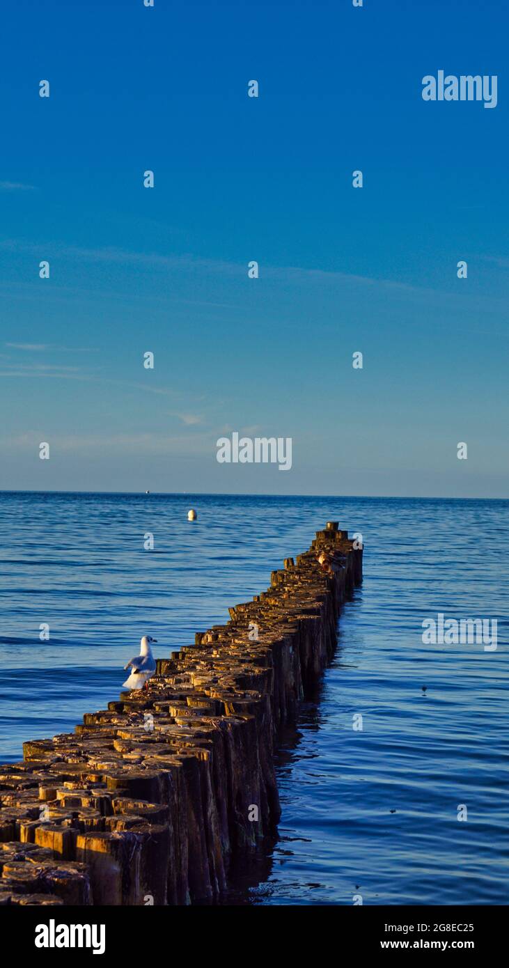 Vertical Breakwaters