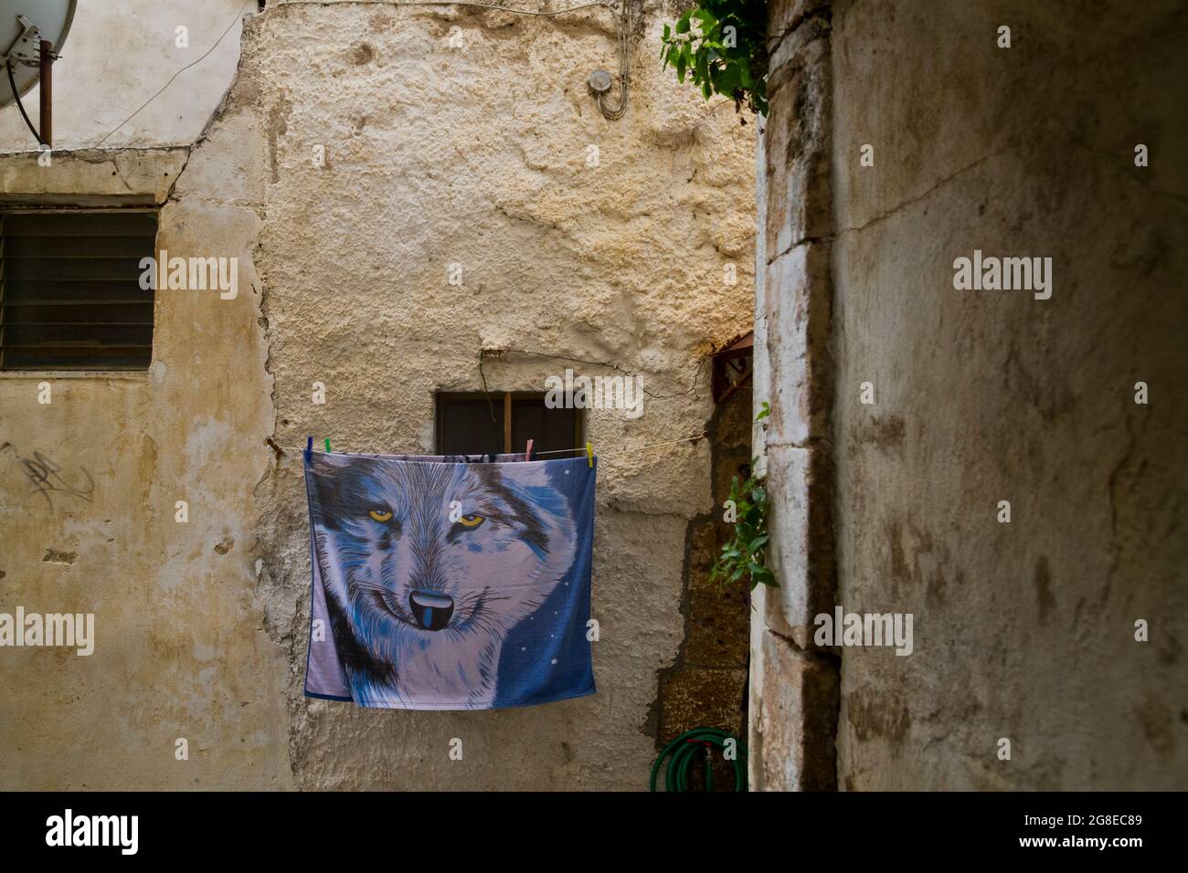 A towel with the image of a wolf on a washing line in Chania, on the ...
