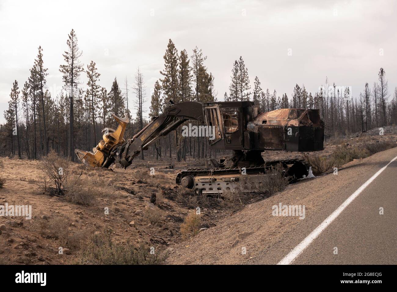 Buncher hi-res stock photography and images - Alamy