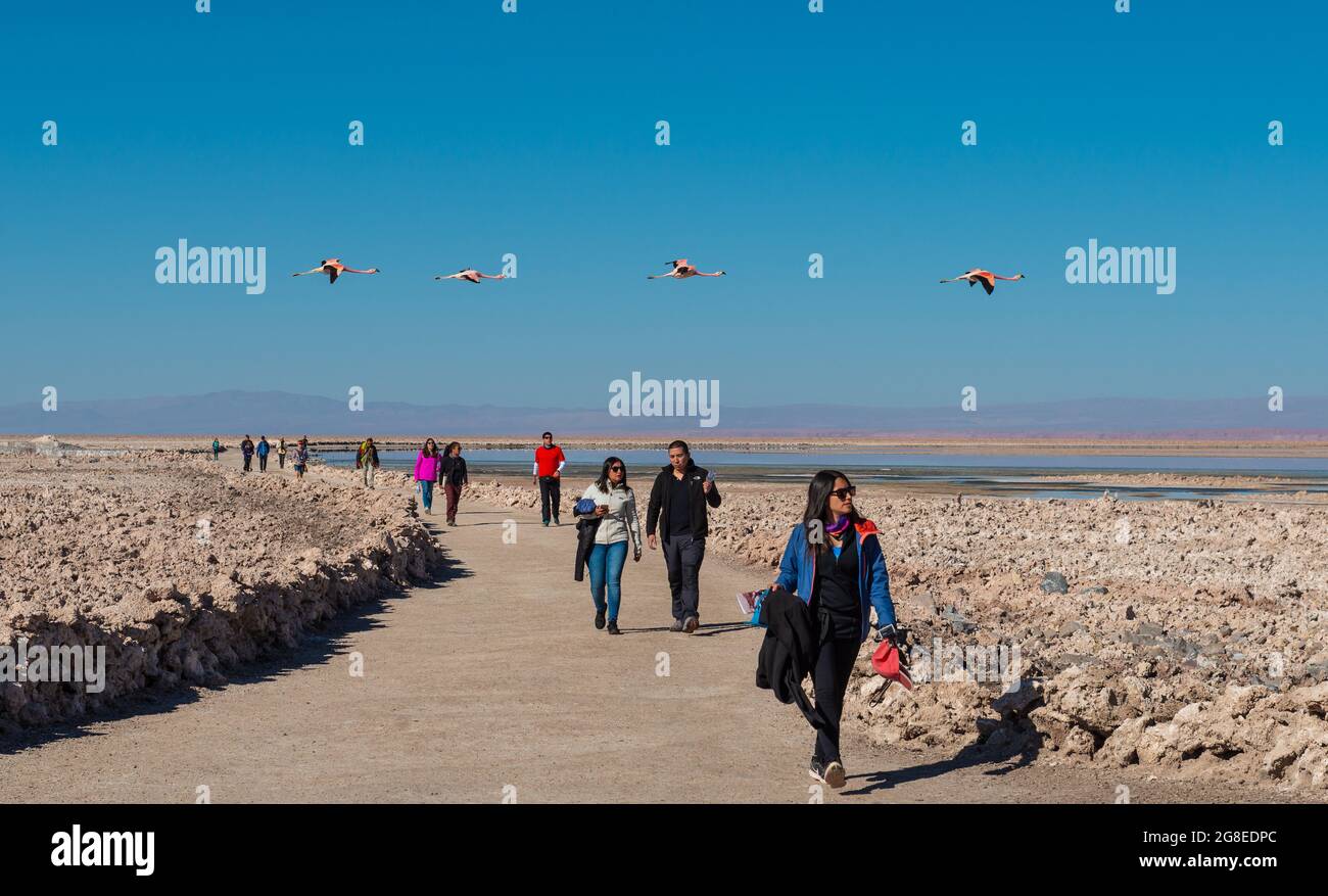 Atacama desert chile and people hi-res stock photography and images - Alamy