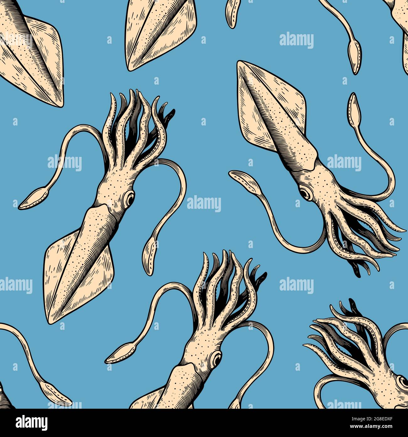 Seamless pattern with squid mollusks. Illustration in vintage line art ...
