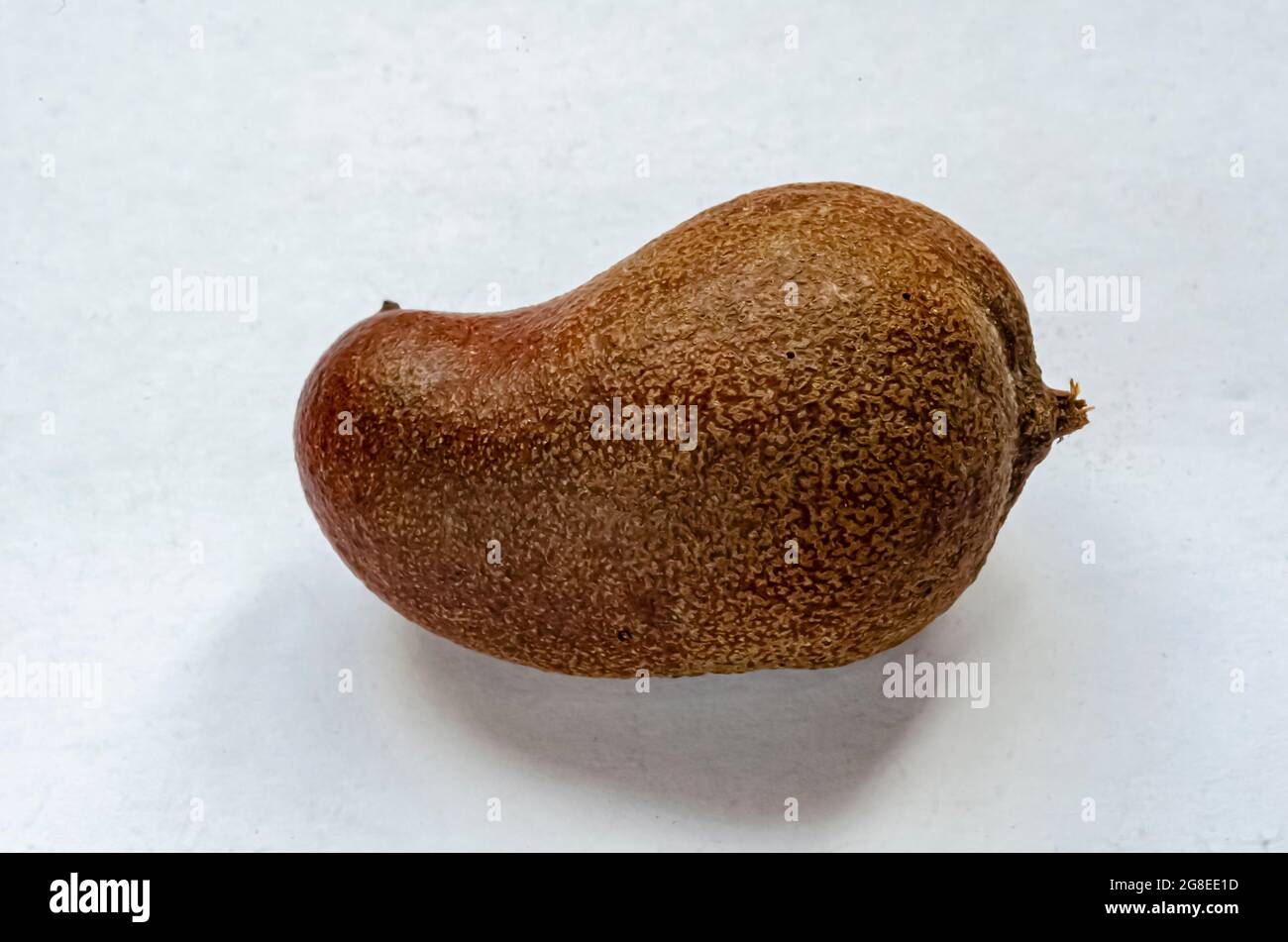 Locust fruit hi-res stock photography and images - Alamy