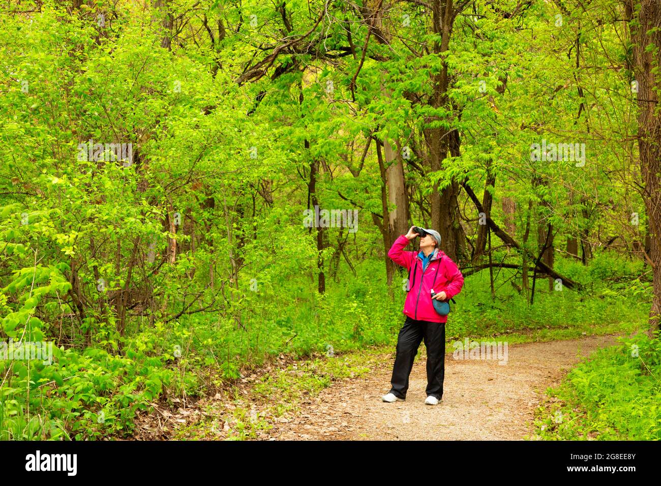 Cottonwood Nature Trail, DeSoto National Wildlife Refuge, Iowa Stock ...