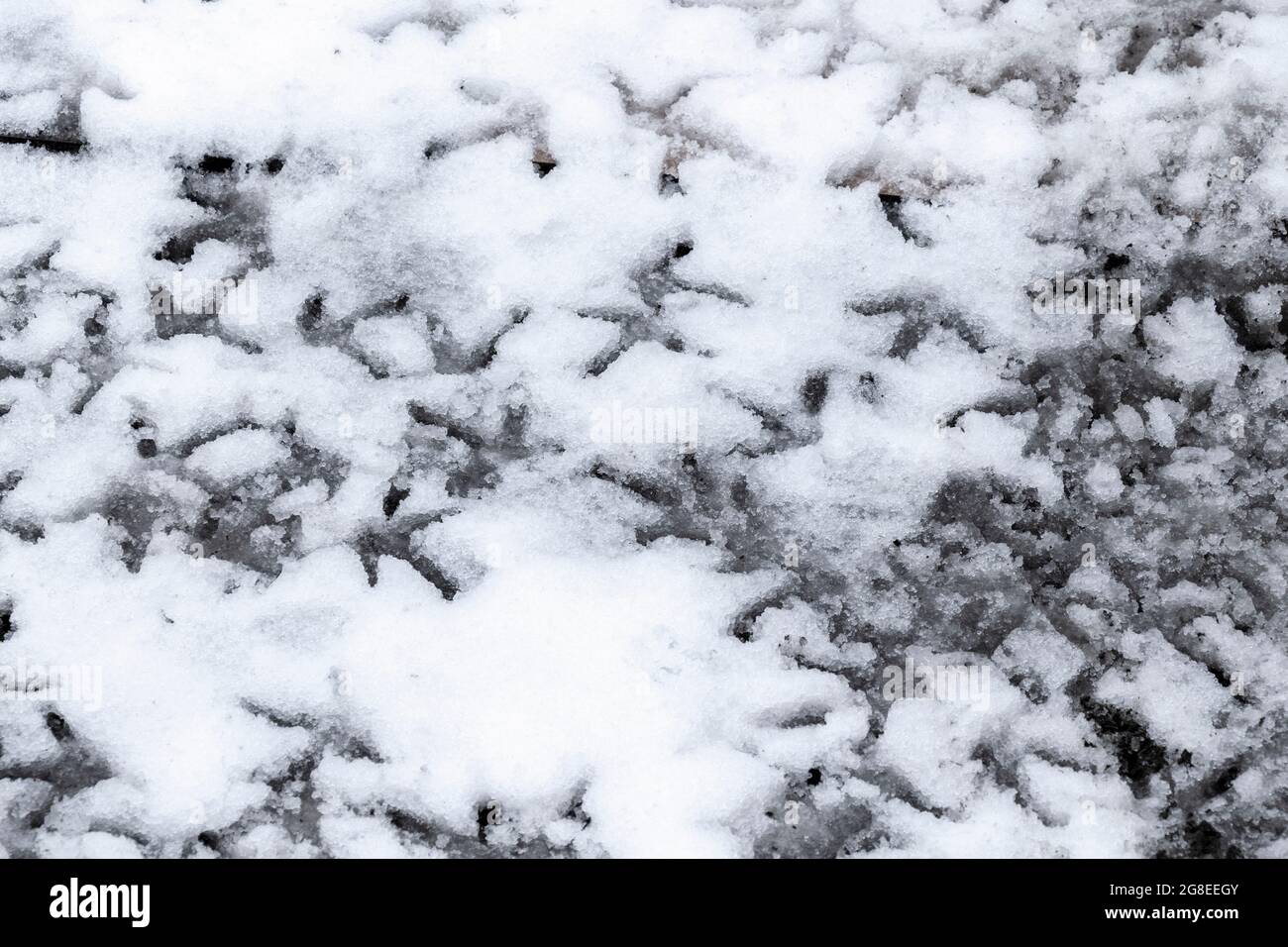 Poultry footprint hi-res stock photography and images - Alamy