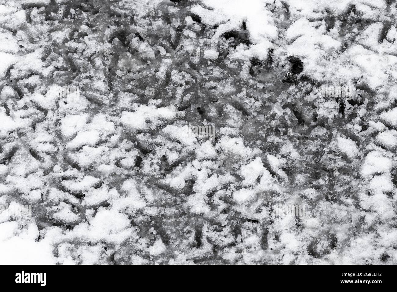 Hen scratching on the ground hi-res stock photography and images - Alamy