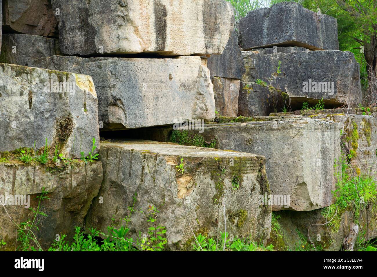 Quarry blocks, Cedar Valley Park, Cedar County, Iowa Stock Photo - Alamy
