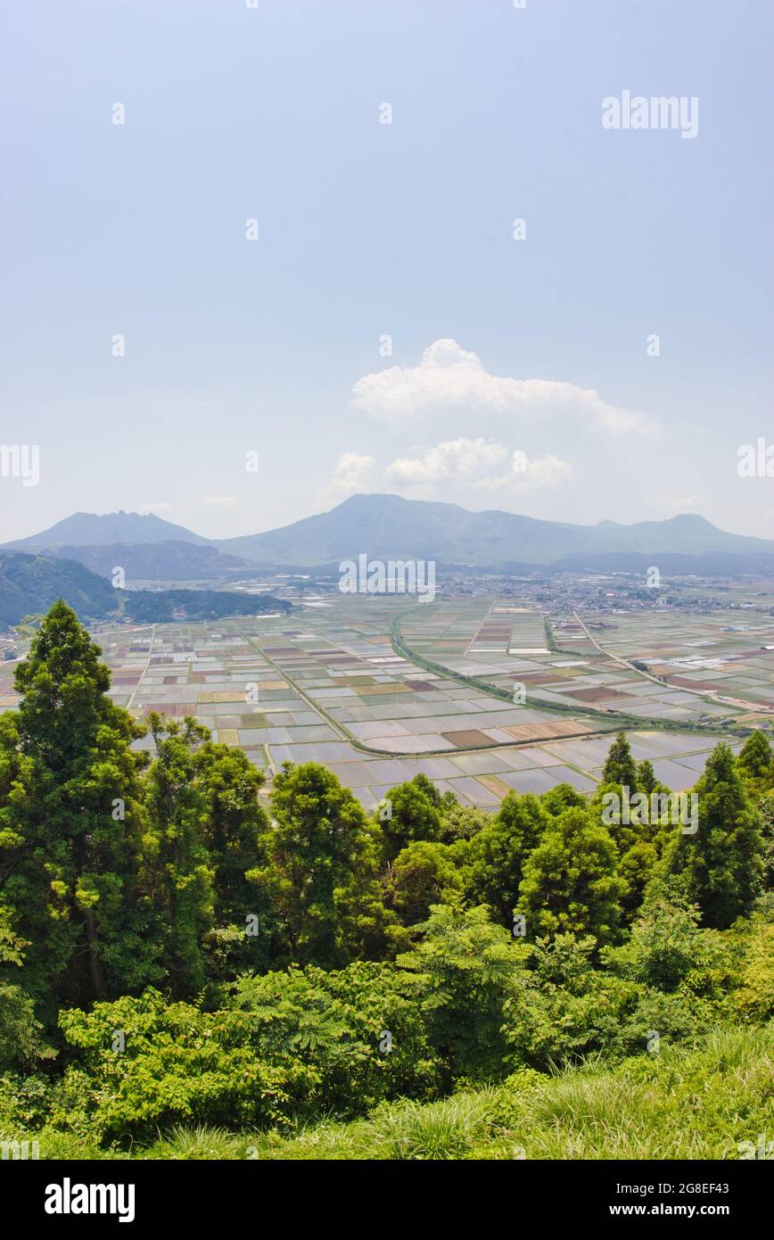 Rice Paddy in Caldera of Mt. Aso from Shiroyama Observatory, Kumamoto ...
