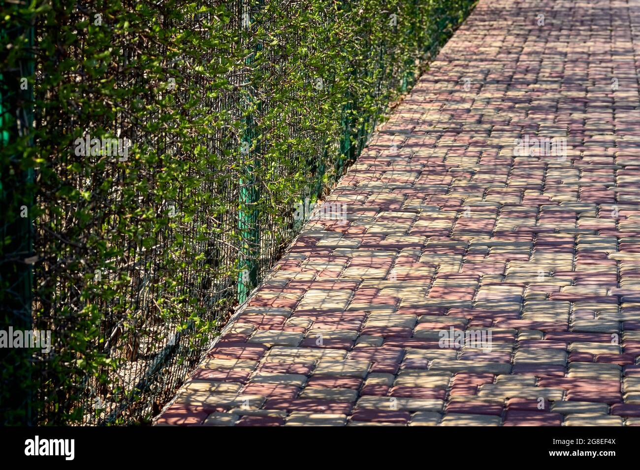 Street red-white striped pavement of paving stones Stock Photo - Alamy