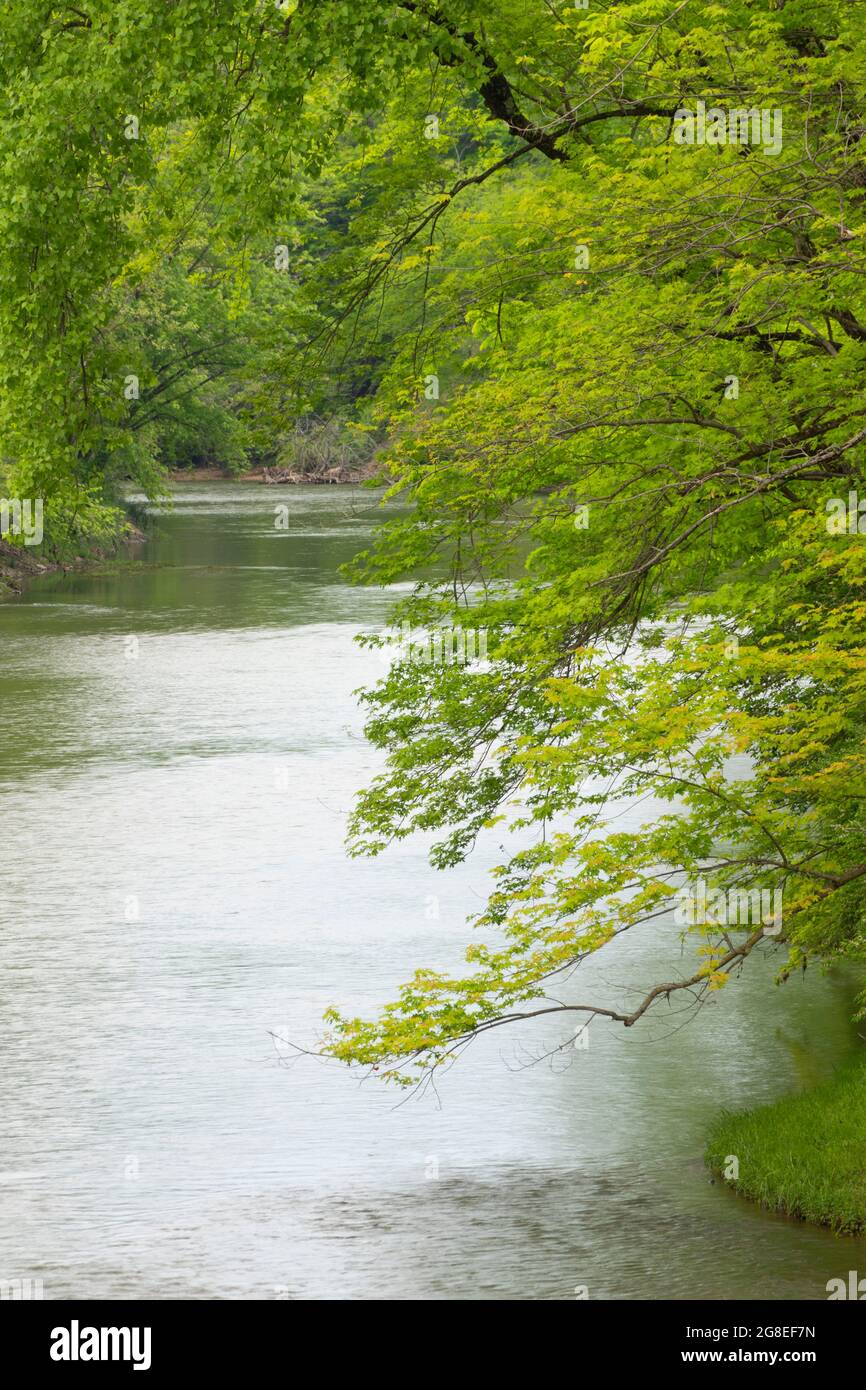 Middle Fork Vermilion Wild and Scenic River, Kickapoo State Park ...