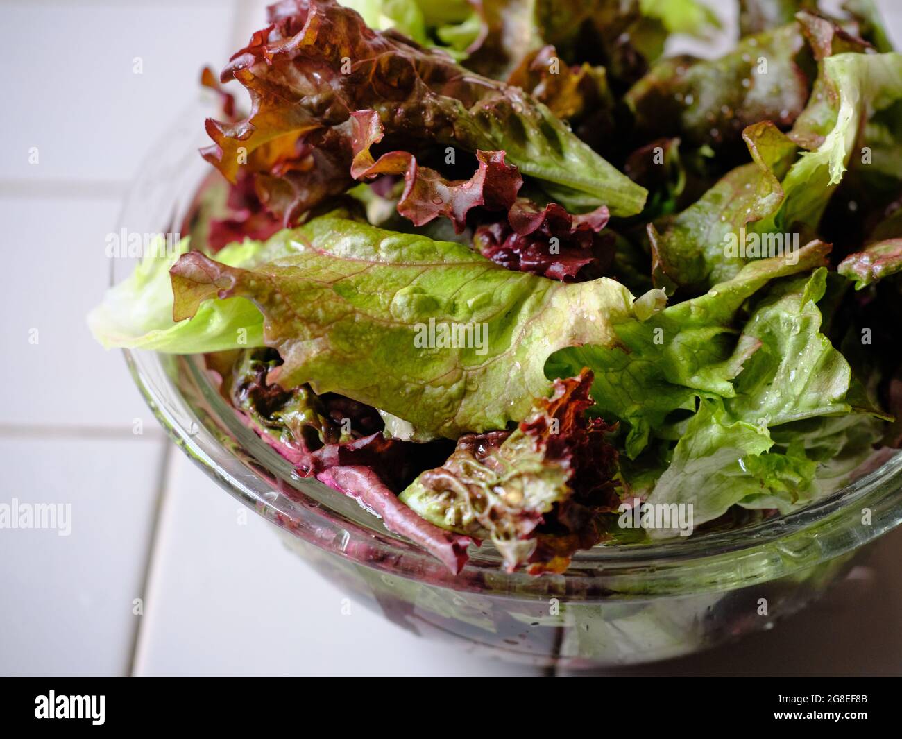 Red Leaf Lettuce Stock Photo - Alamy
