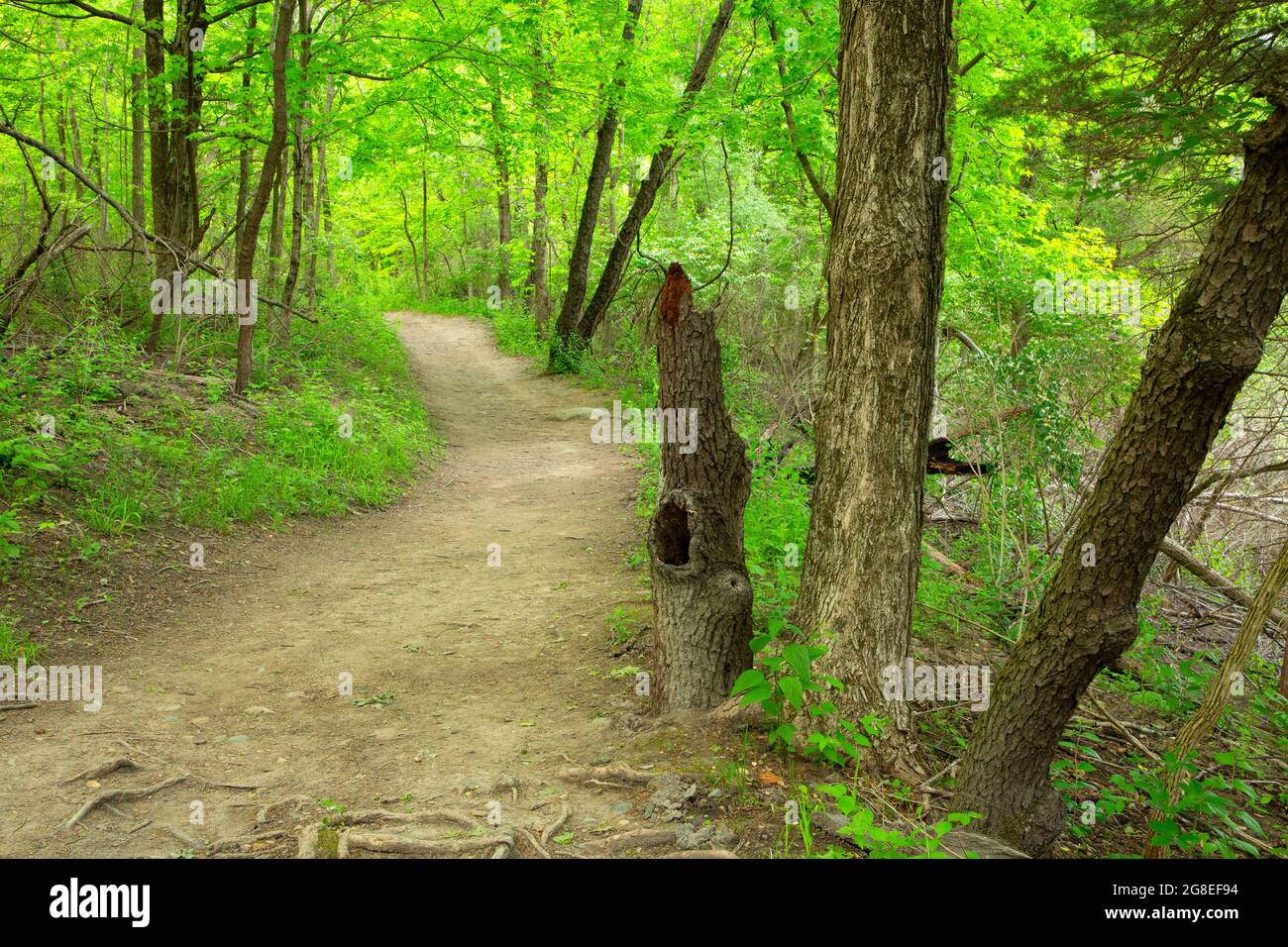 Riverview trail hi-res stock photography and images - Alamy