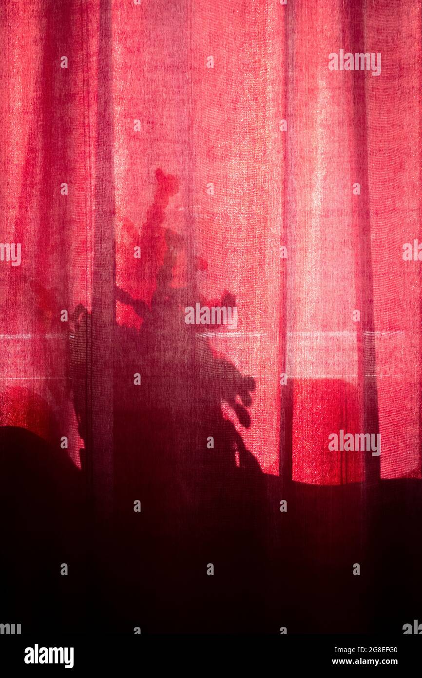 Sunlight breaks through thick red room curtains Stock Photo - Alamy