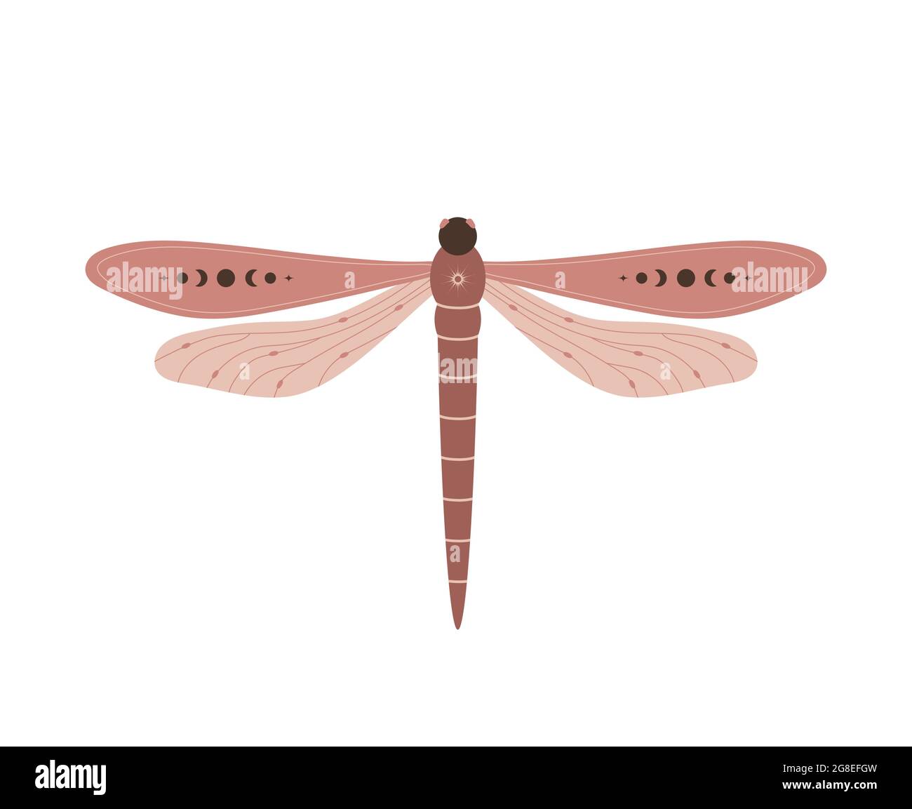 Boho dragonfly. Insect with celestial elements. Witch and magic symbol ...