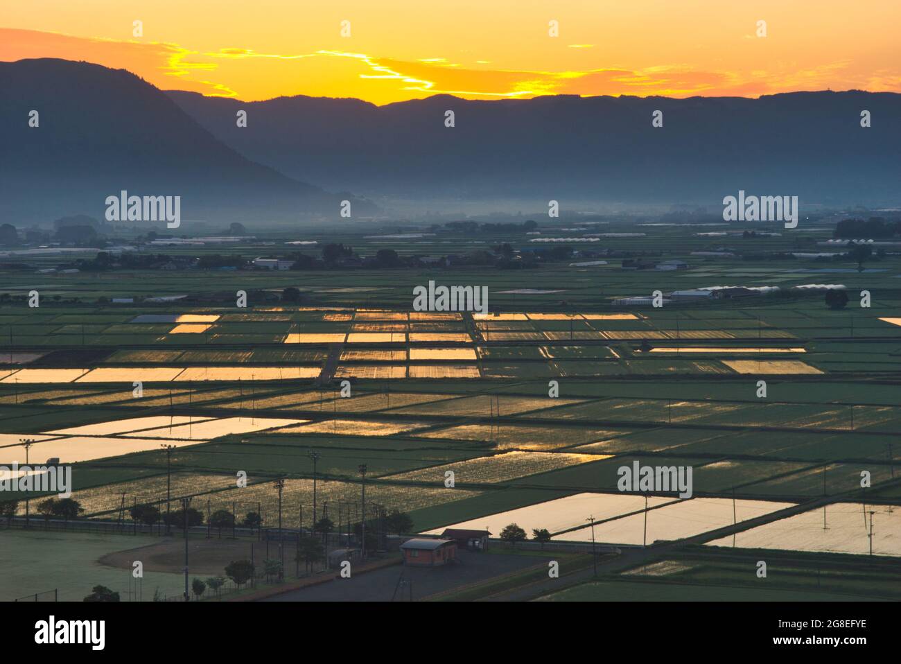Rice Paddy in Caldera of Mt. Aso, Kumamoto Prefecture, Japan Stock ...