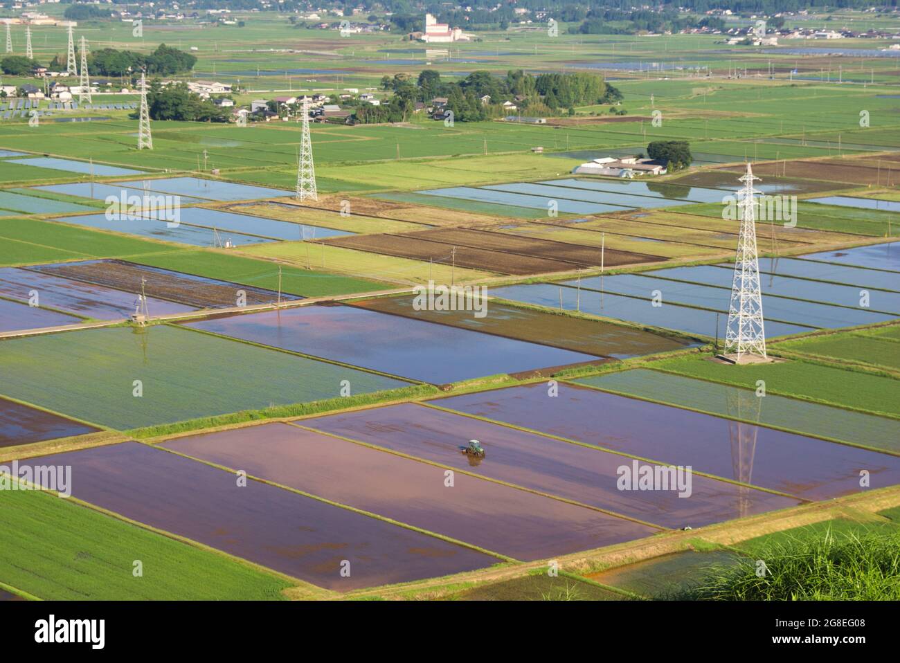 Rice Paddy in Caldera of Mt. Aso, Kumamoto Prefecture, Japan Stock ...