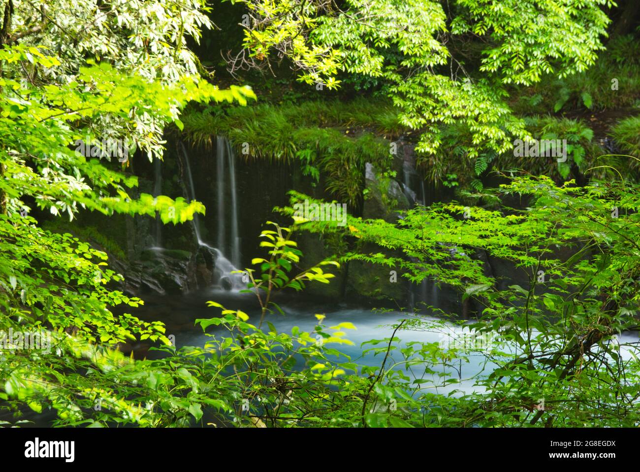 Kikuchi Gorge in Early Summer, Kumamoto Prefecture, Japan Stock Photo ...