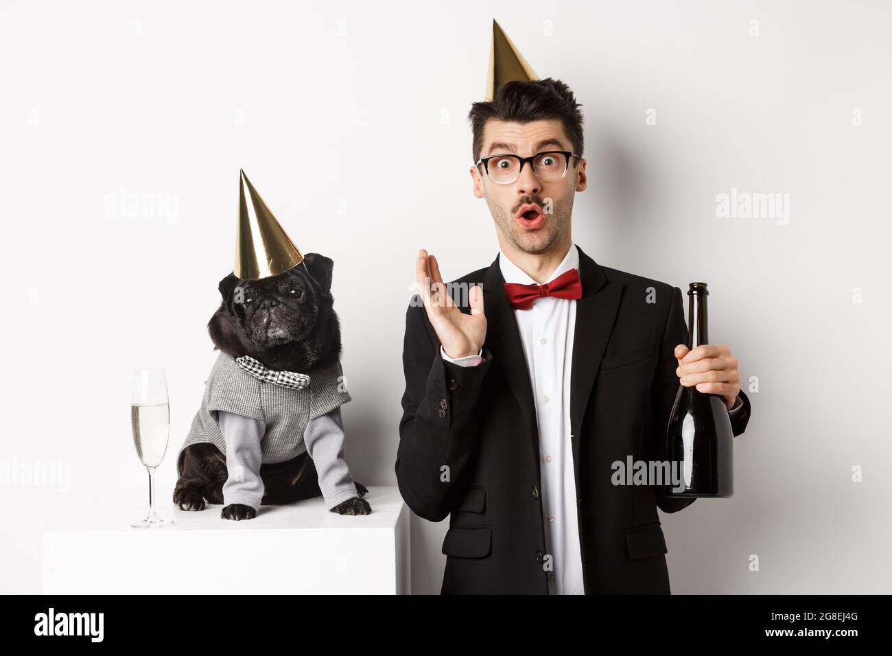 Happy young man celebrating holiday with cute dog, holding champagne ...