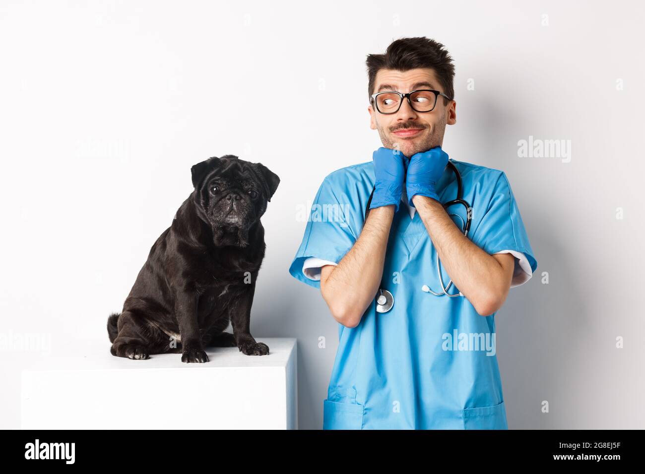 Image of handsome male doctor veterinarian looking at cute black pug ...
