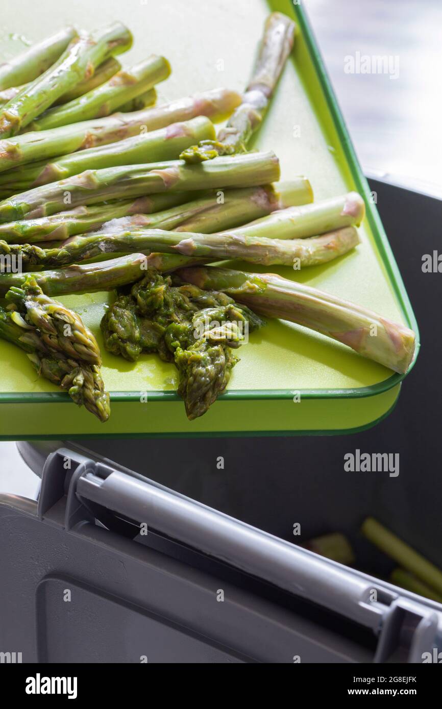 Rotten asparagus spears being thrown away into food waste recycling bin ...