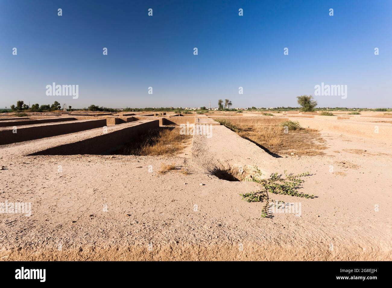 Apadana ruins, archaeological site of Susa(Shush), Achaemenid empire of ...