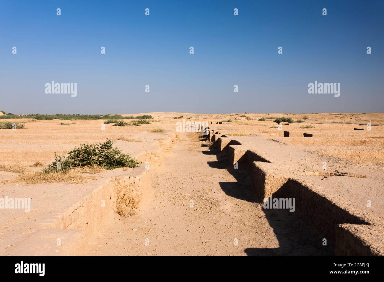 Apadana ruins, archaeological site of Susa(Shush), Achaemenid empire of ...