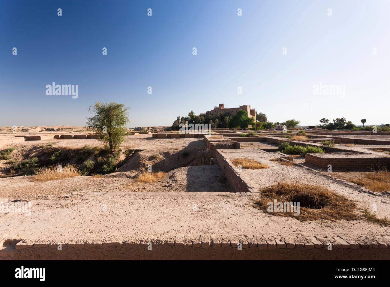 Apadana ruins and Shush castle, archaeological site of Susa(Shush ...