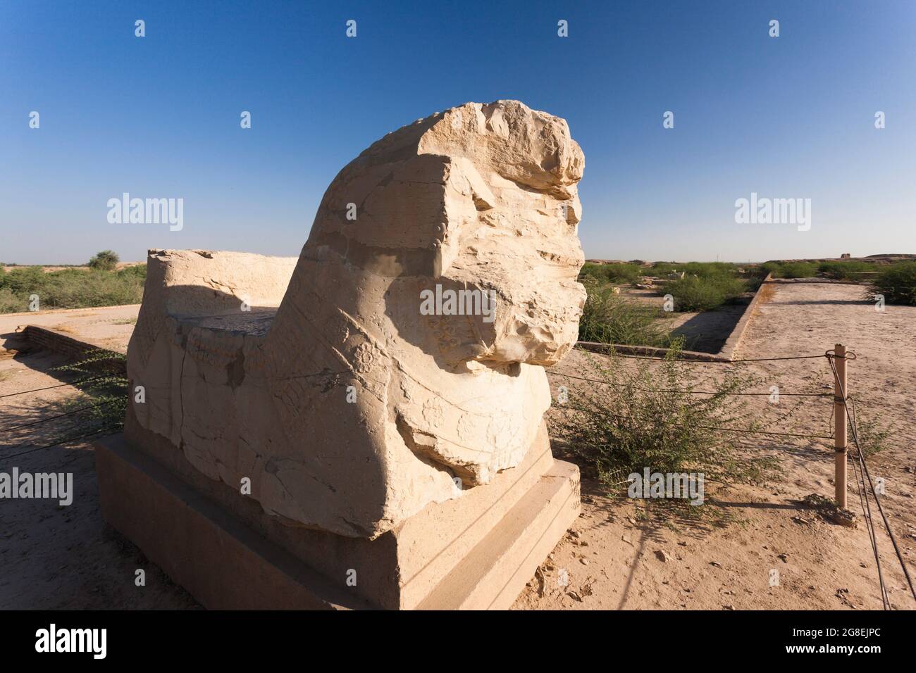 Double headed Bull capital, ruins, archaeological site of Susa(Shush ...
