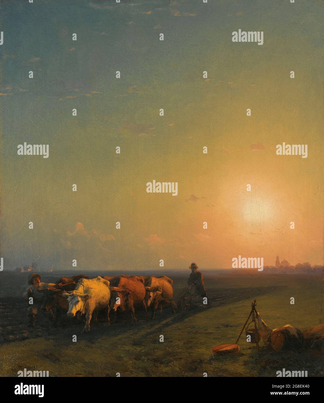 vintage, retro, old, photograph, century, botany, graphics, antique ...