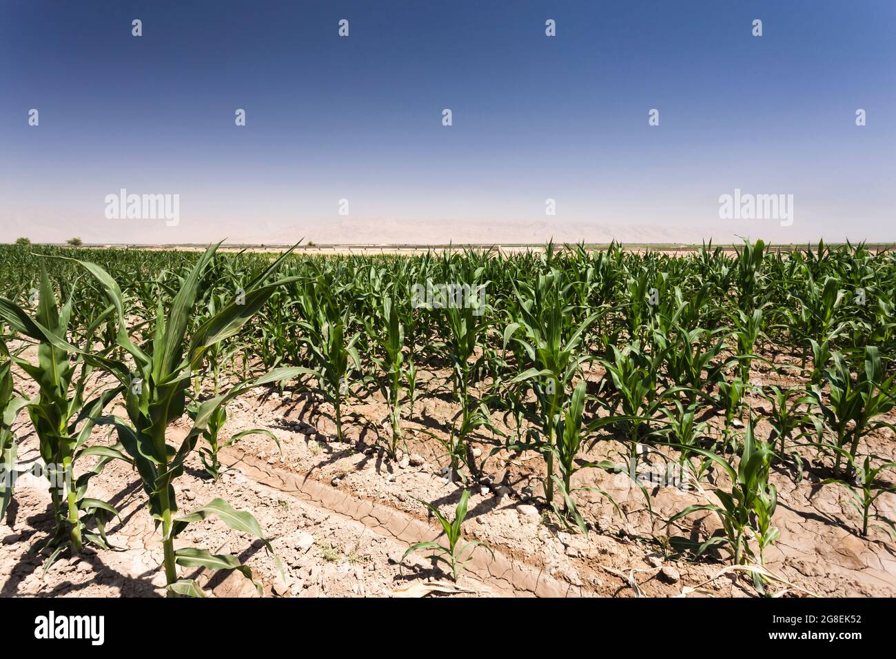 Behbahan hi-res stock photography and images - Alamy