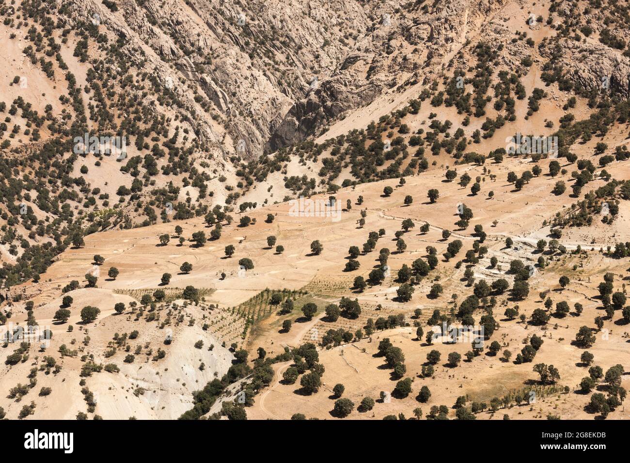 Battle of the persian gate hi-res stock photography and images - Alamy