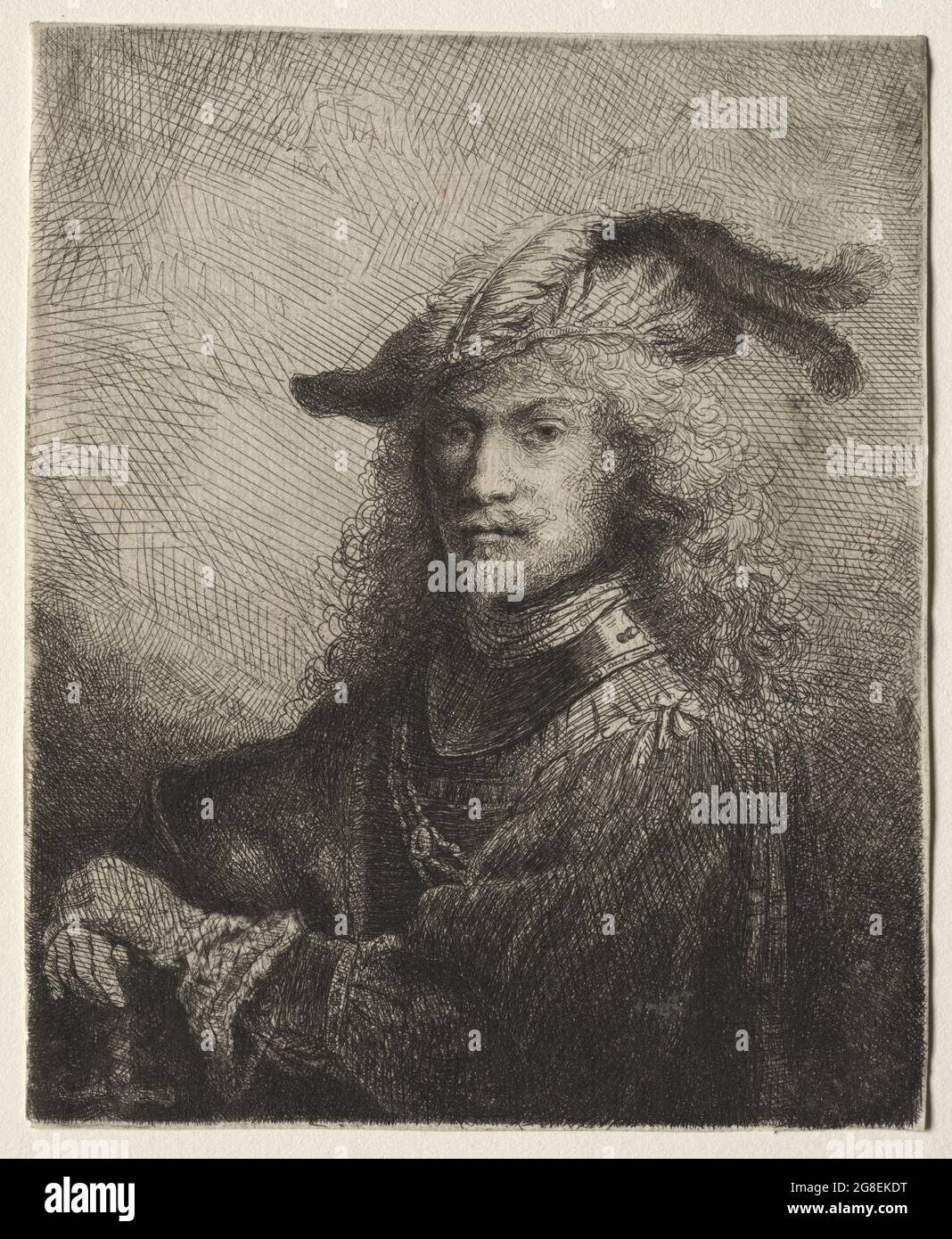 vintage, retro, old, photograph, century, botany, graphics, antique ...