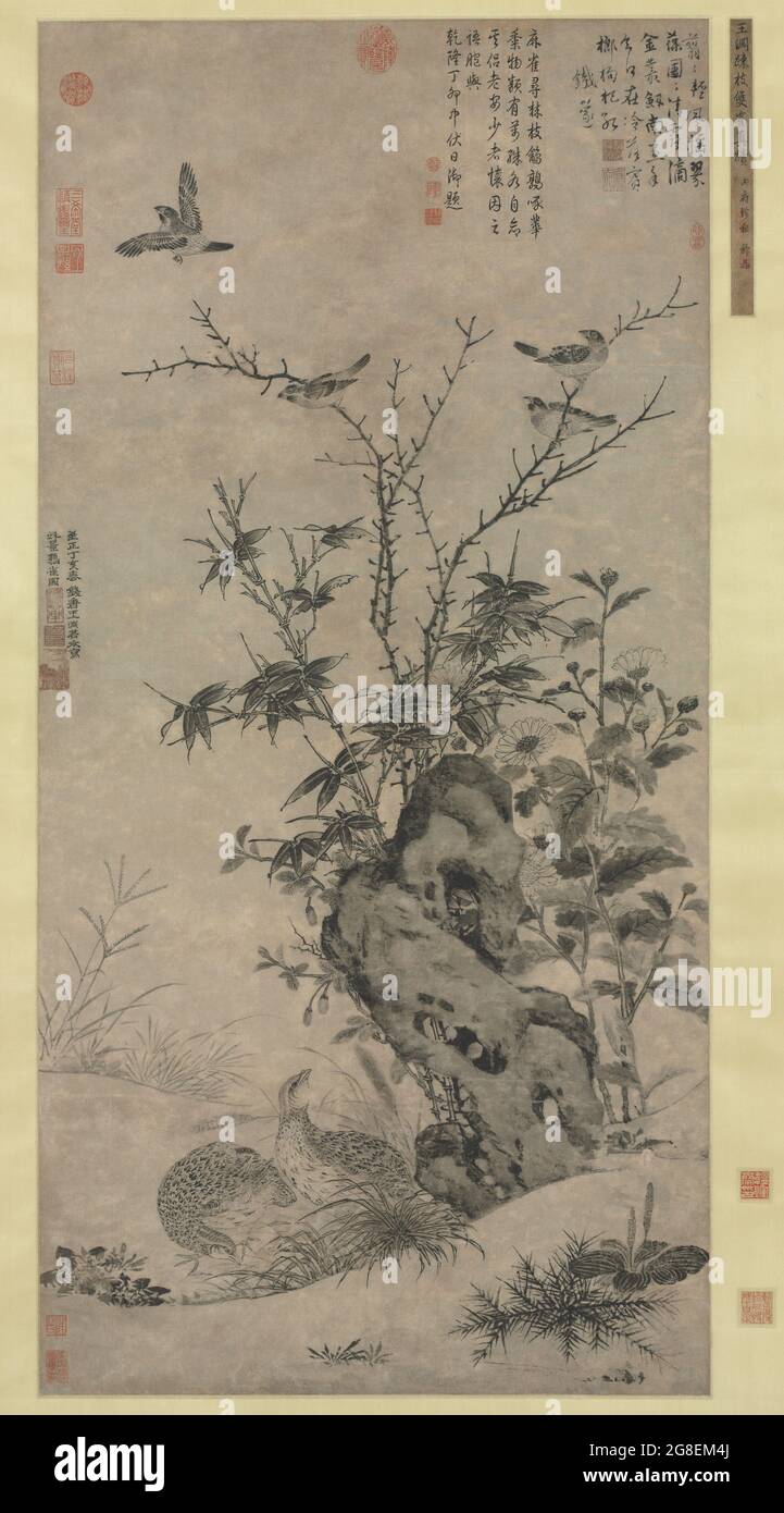 vintage, retro, old, photograph, century, botany, graphics, antique ...
