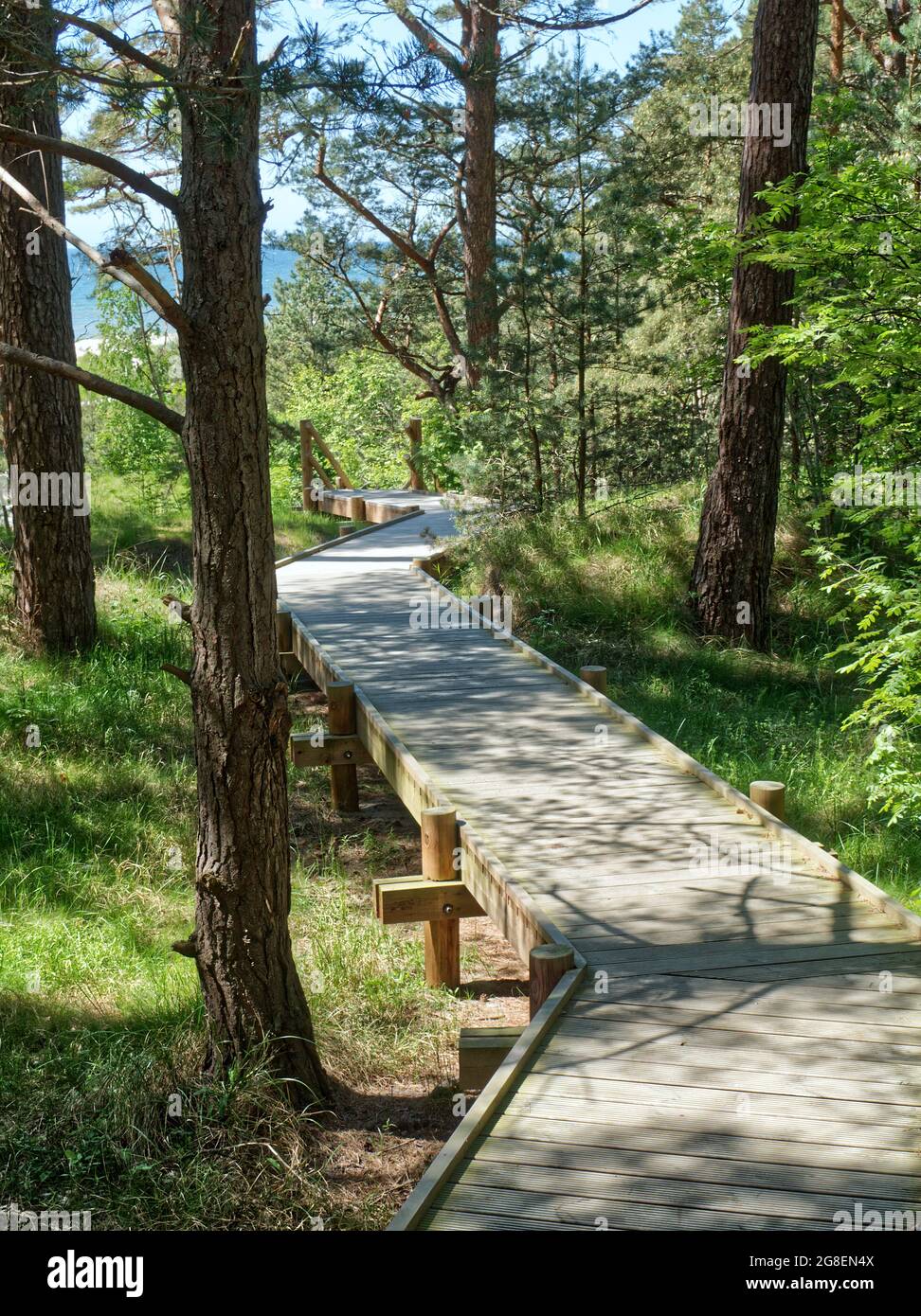 Walking trail in the Bernatu seaside forest Stock Photo - Alamy