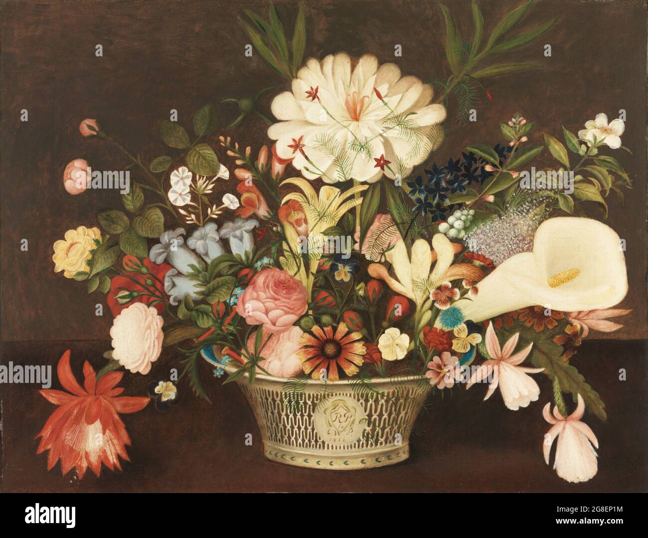 vintage, retro, old, photograph, century, botany, graphics, antique ...