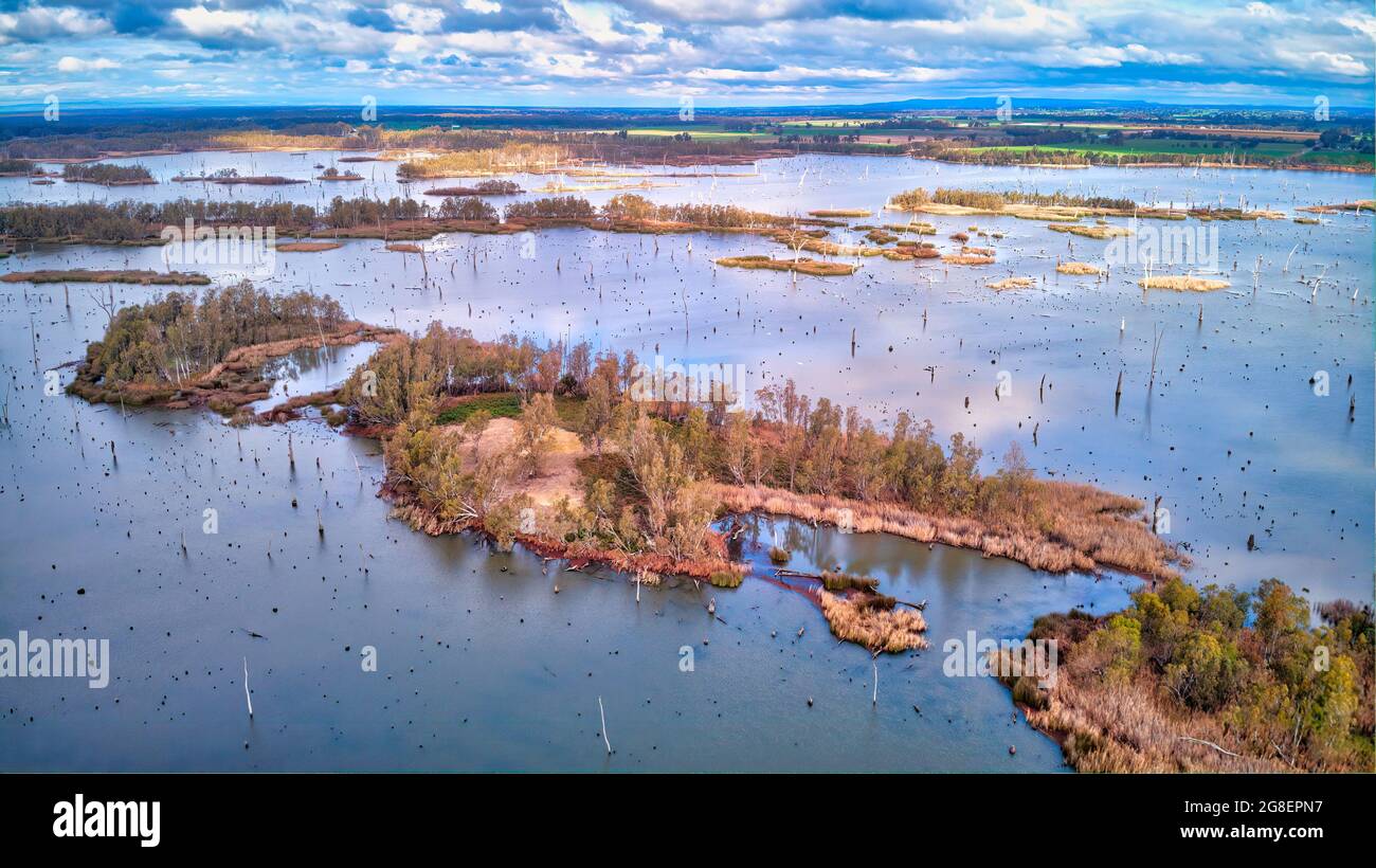 An aerial looking over Lake Mulwala at Islands Stock Photo - Alamy