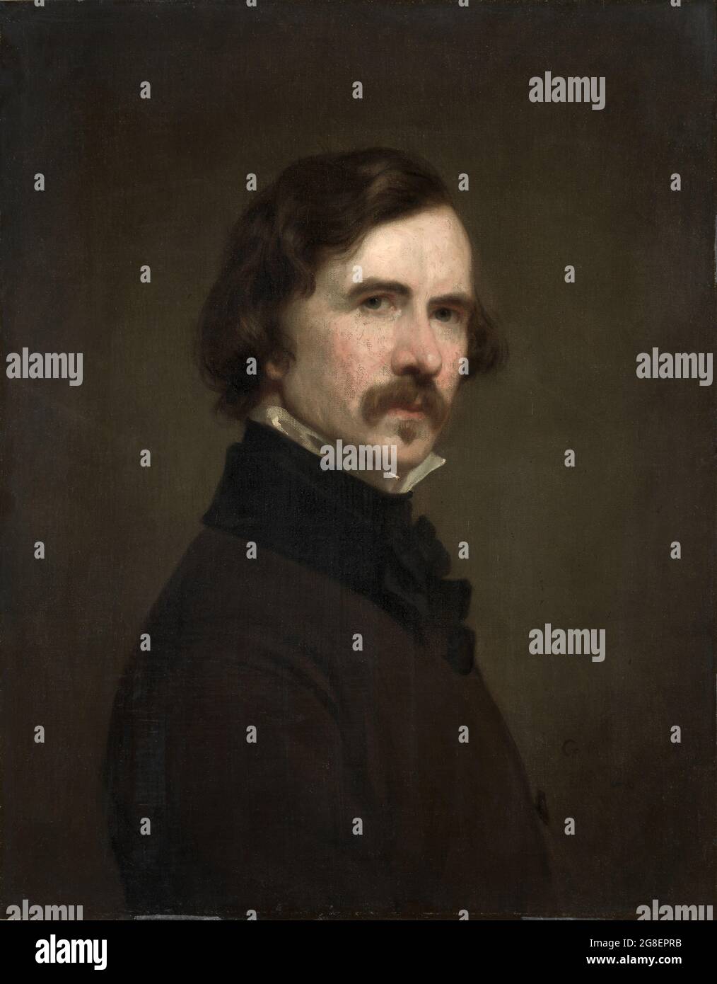 vintage, retro, old, photograph, century, botany, graphics, antique ...