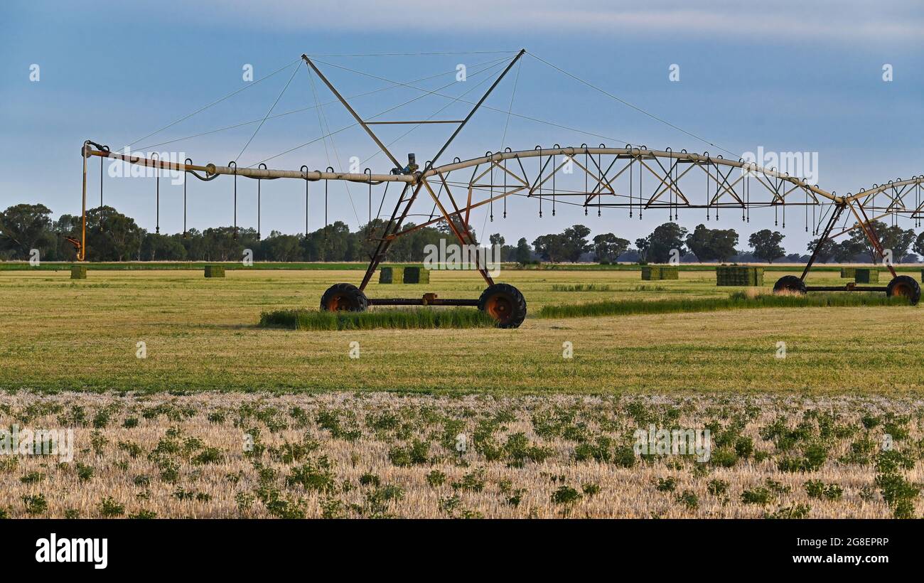 Closeup of a centre pivot irrigator in a green paddock Stock Photo - Alamy