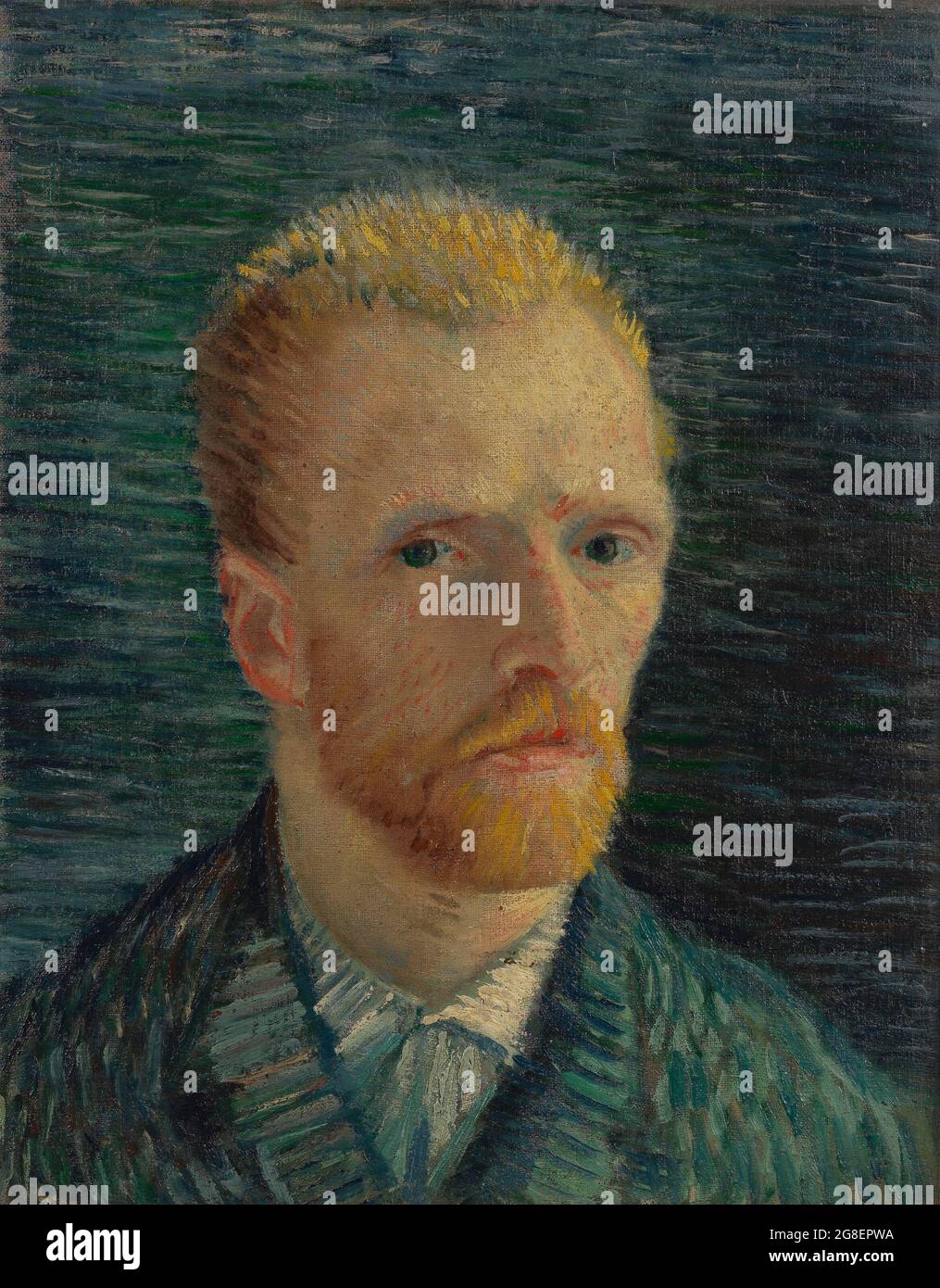 vintage, retro, old, photograph, century, botany, graphics, antique ...