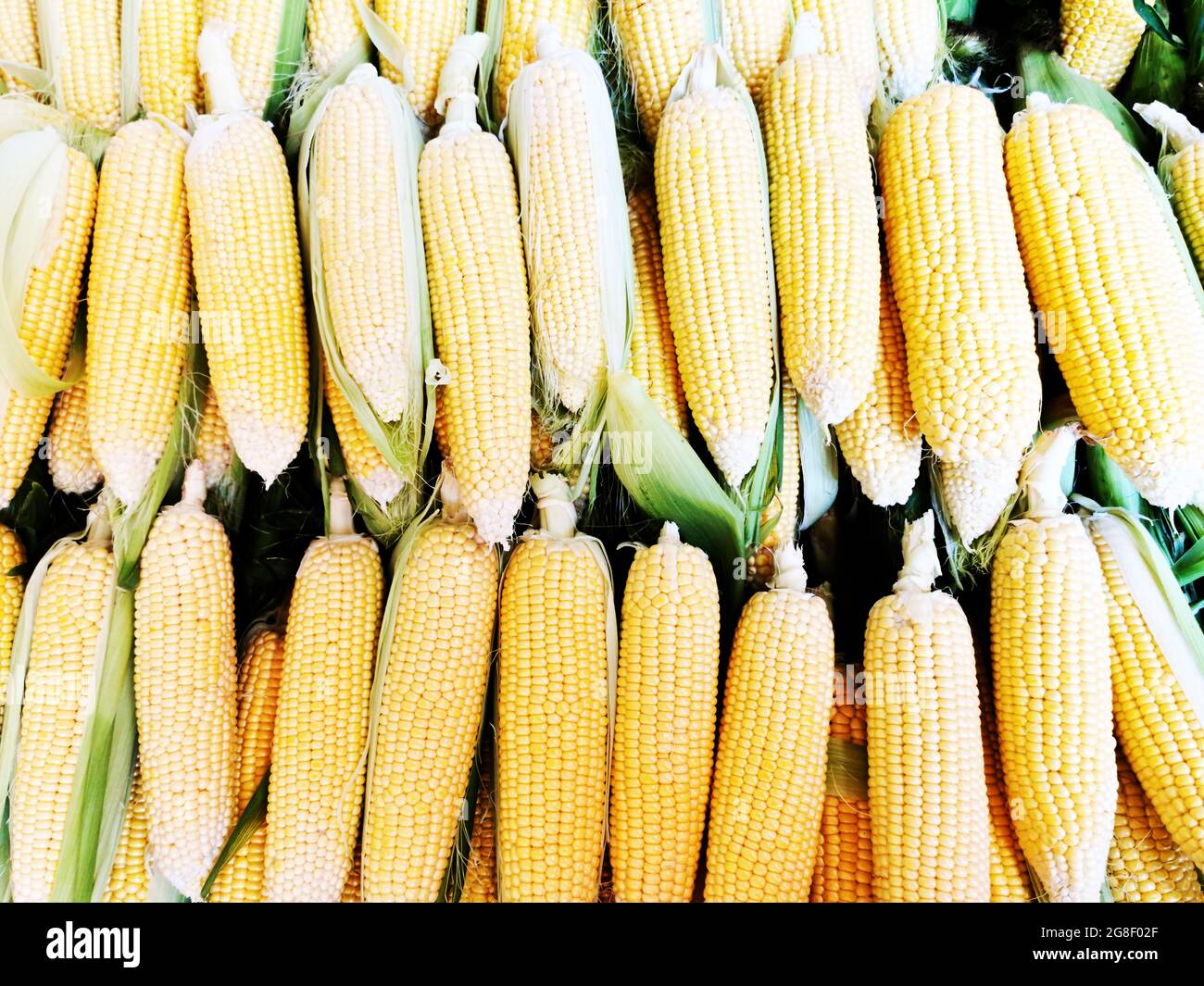 Wholesale grain market hi-res stock photography and images - Alamy