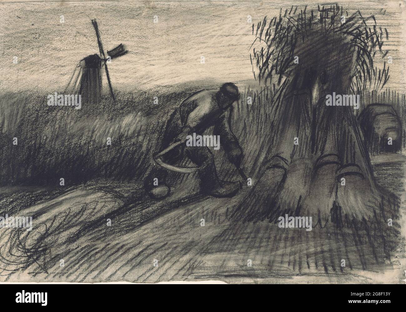 vintage, retro, old, photograph, century, botany, graphics, antique ...